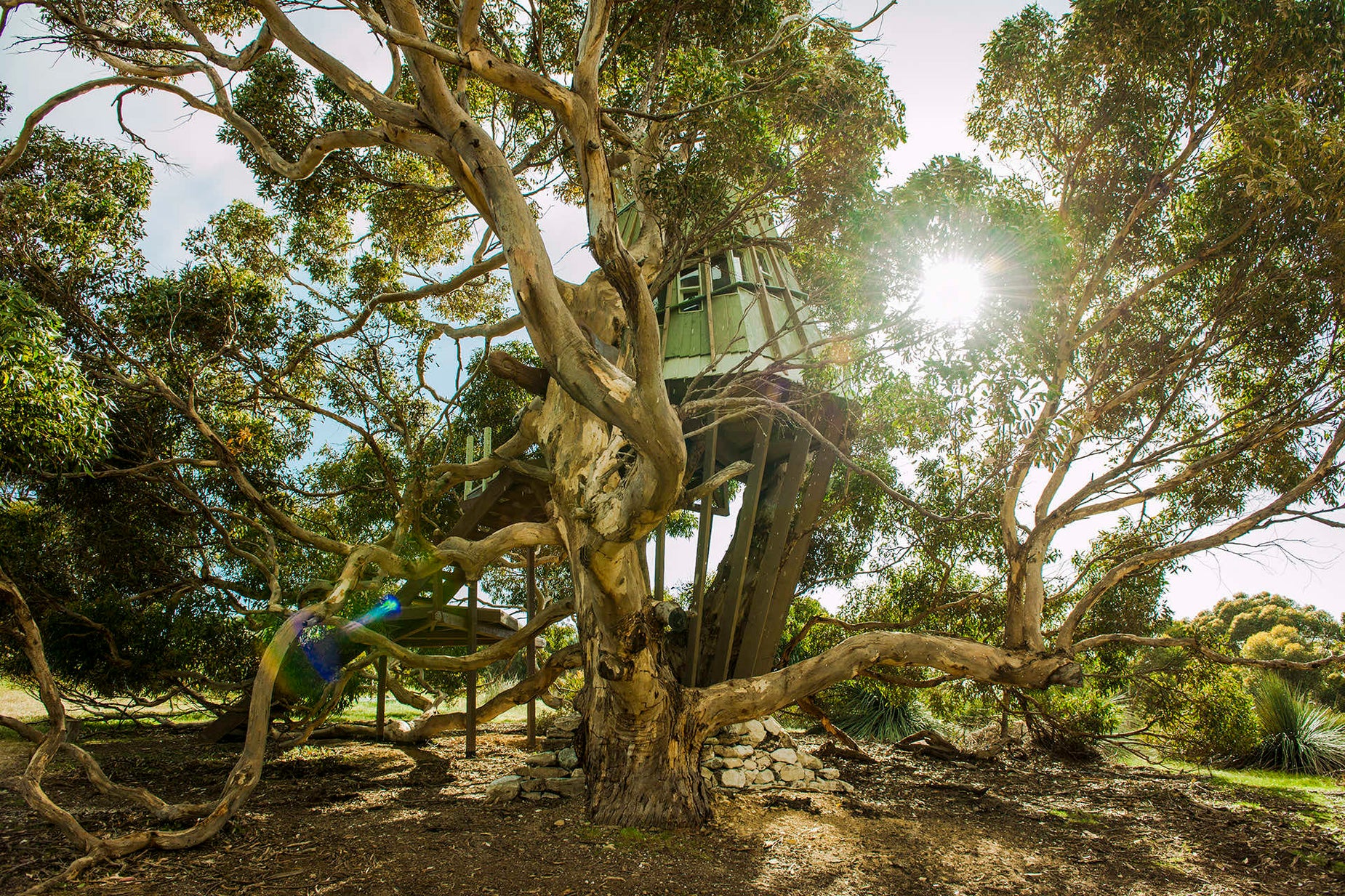 GOELIA 28th Brand Anniversary